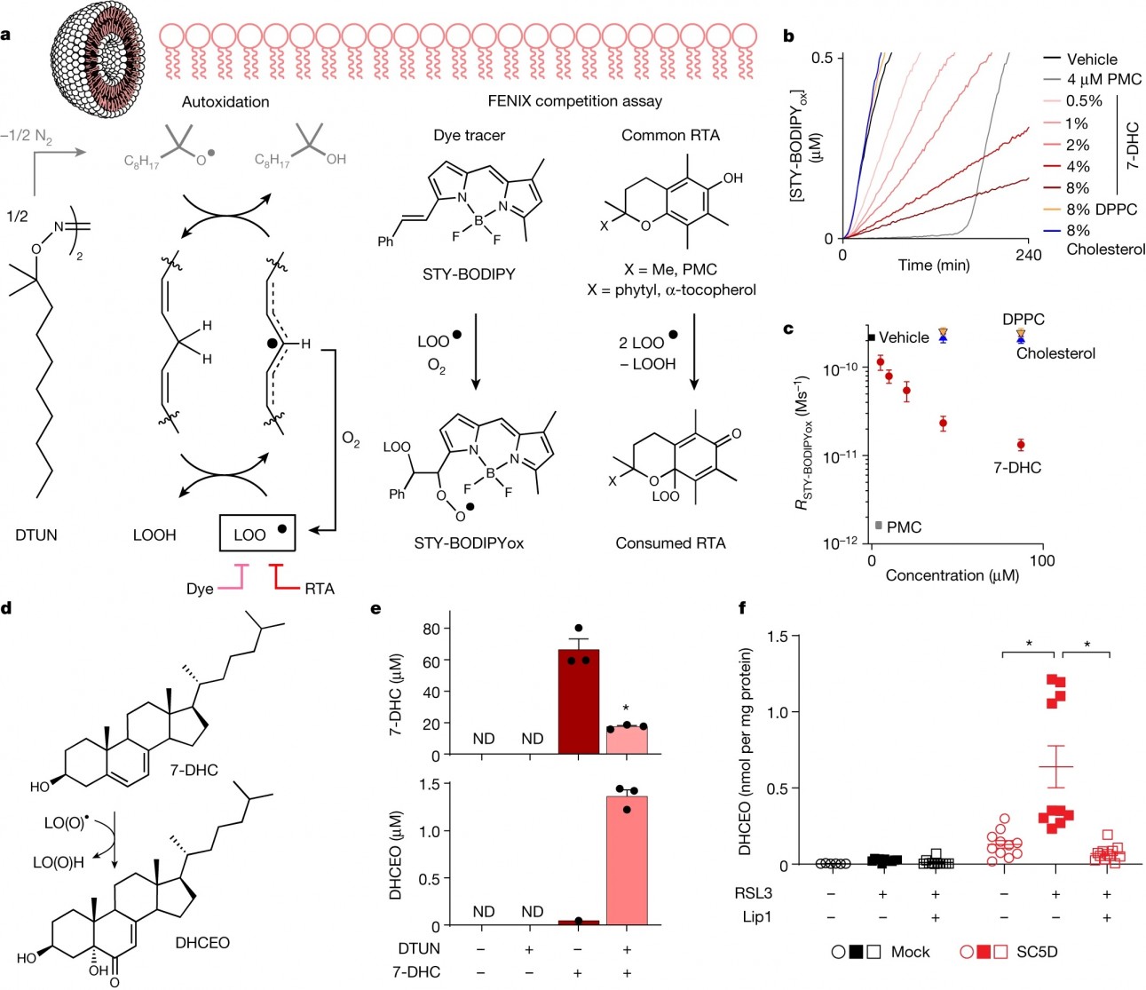 7-Dehydrocholesterol is an endogenous suppressor of ferroptosis (Nature ...