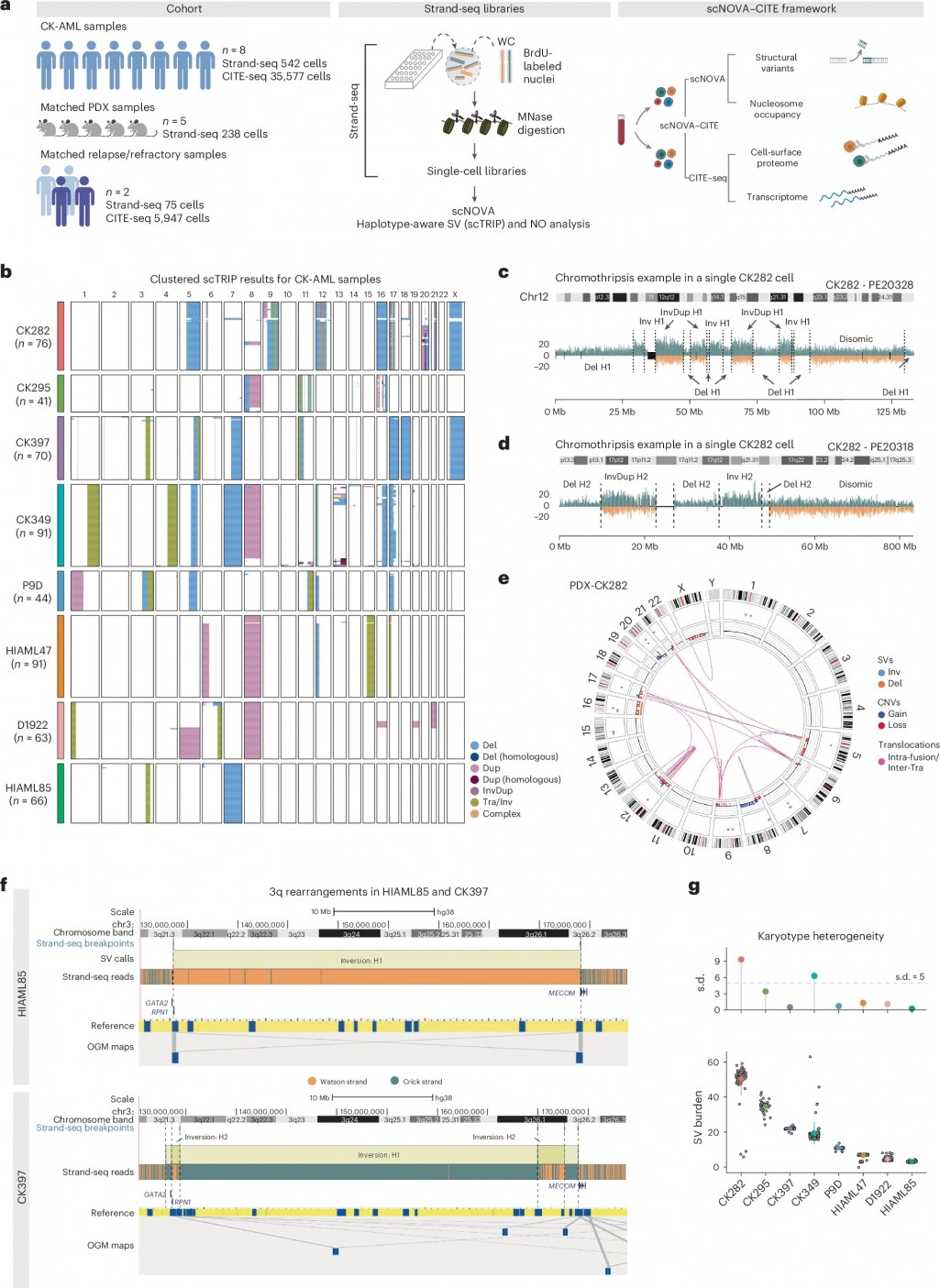 Single-cell multiomics analysis reveals dynamic clonal evolution and ...