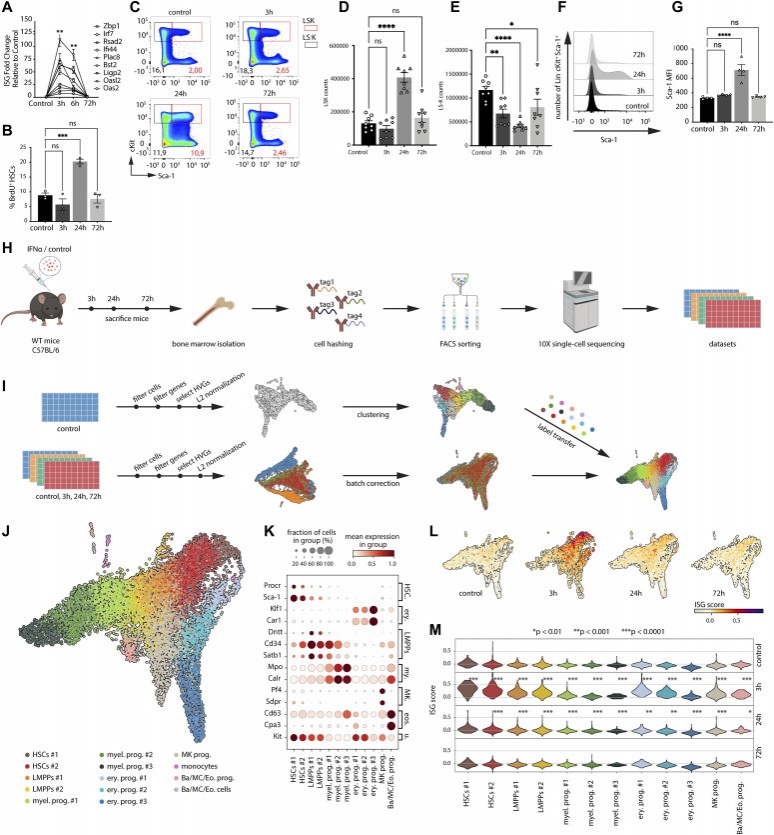 Single-cell time series analysis reveals the dynamics of HSPC response ...