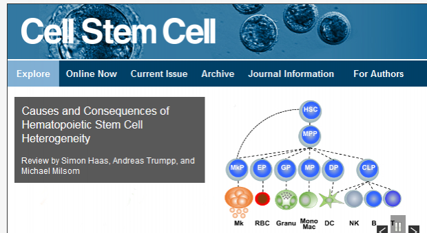 Causes and Consequences of Hematopoietic Stem Cell Heterogeneity (Cell ...