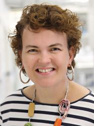 HI-STEM - Institute for Stem Cell Technology